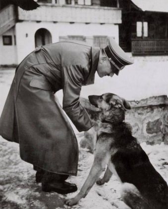 Famous Dogs : Blondi - Hitler's German Shepherd